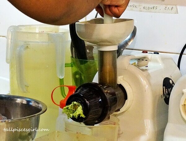 5 Facts You Need To Know About Juus Juice | TallPiscesGirl